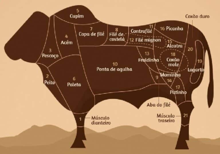 Tipos de carne: conheça os principais cortes